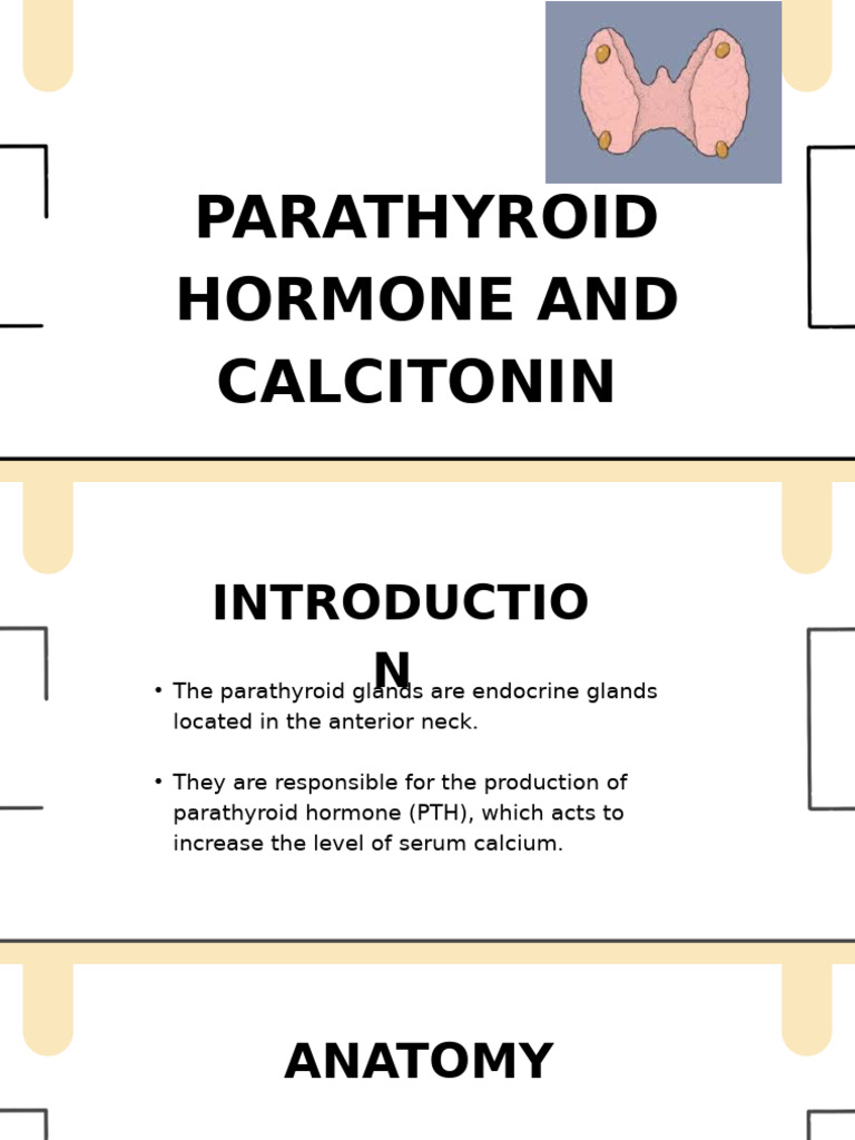 Parathyroid Hormone and Calcitonin 20250714 225846 0000 | PDF ...