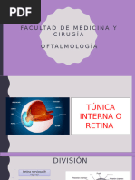 Capas de La Retina | PDF | Retina | Percepción visual