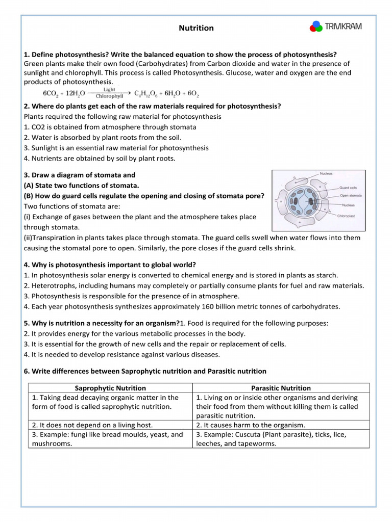10th Nutrition Notes | PDF