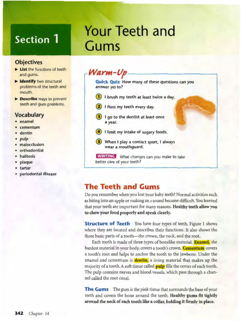 Prentice Hall Health 2014 Student Editio-342-346 | PDF | Dental Anatomy ...
