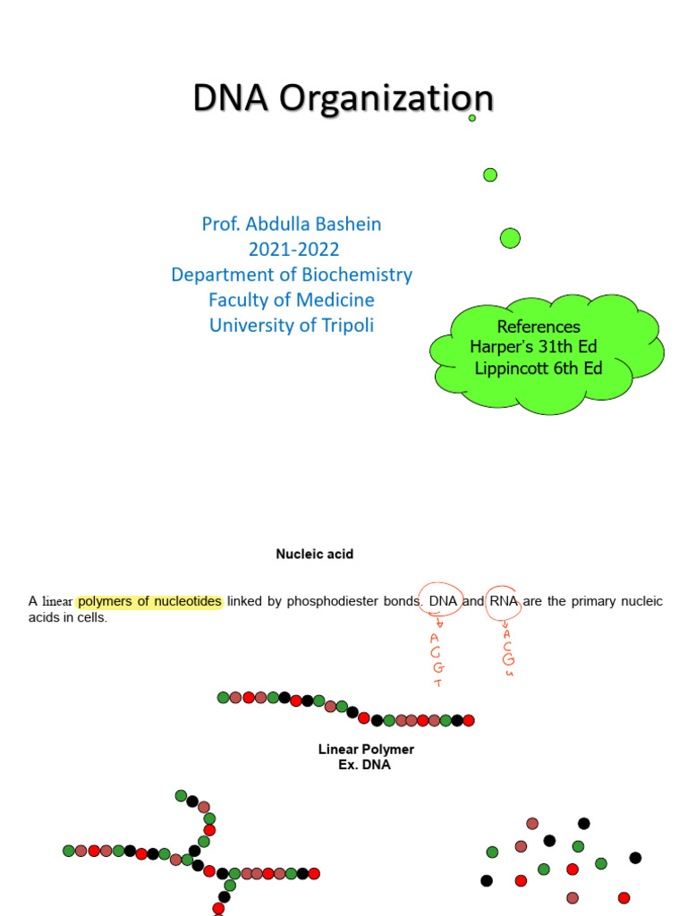 بايو 3 - | PDF | Messenger Rna | Dna