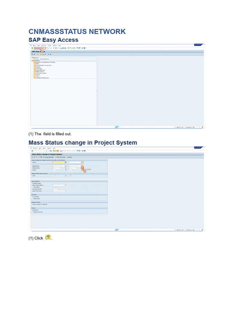Mass Status Change in SAP PS | PDF