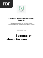 Livestock Judging Guide | PDF | Livestock | Domesticated Animals