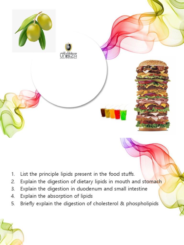 9-Lipid Absorption Digestion | PDF | Stomach | Bile