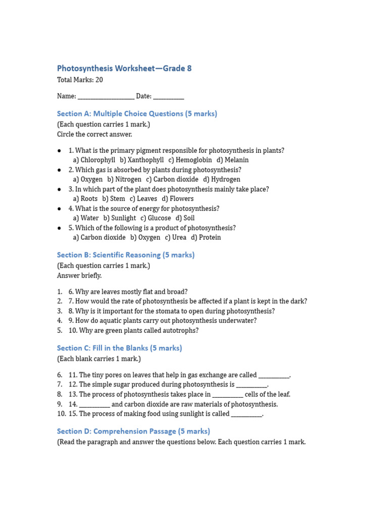 Grade 8 Photosynthesis Worksheet | PDF | Photosynthesis | Leaf