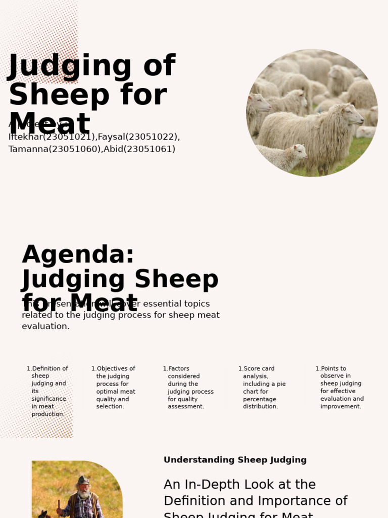 Presentation Judging of Sheep For Meat 20250720 143951 0000 | PDF ...