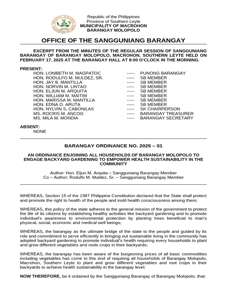 Ordinance No. 1 - 2025 Hapag | PDF