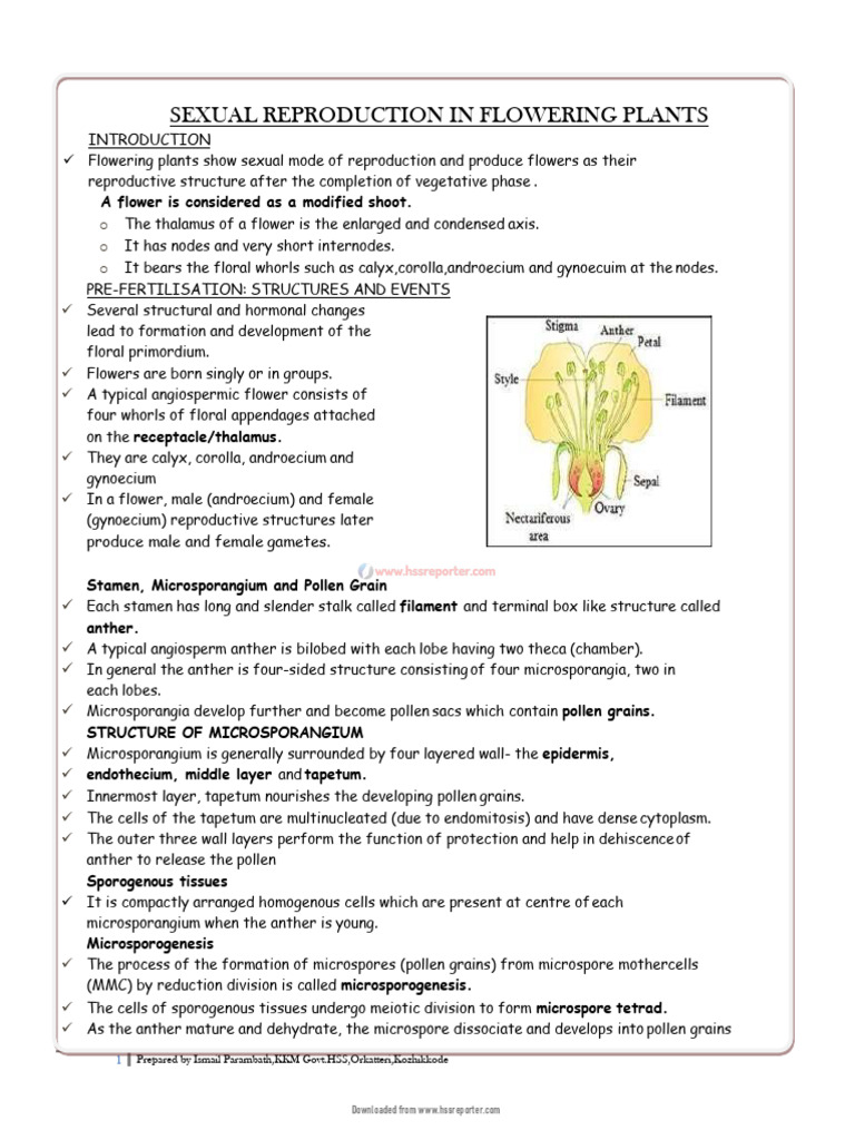 HSSRPTR - 1.sexual Reproduction in Angiosperms | PDF | Flowers | Seed