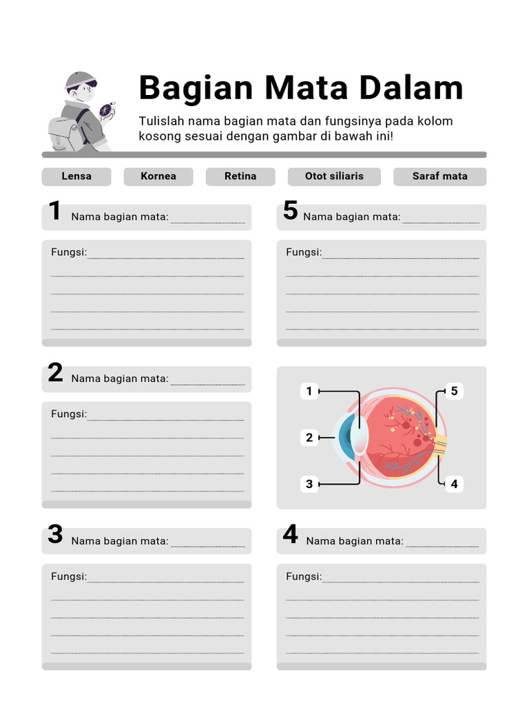 Bagian Mata Dalam Lembar Kerja Pendidikan IPAS Kuning Biru Ilustrasi | PDF