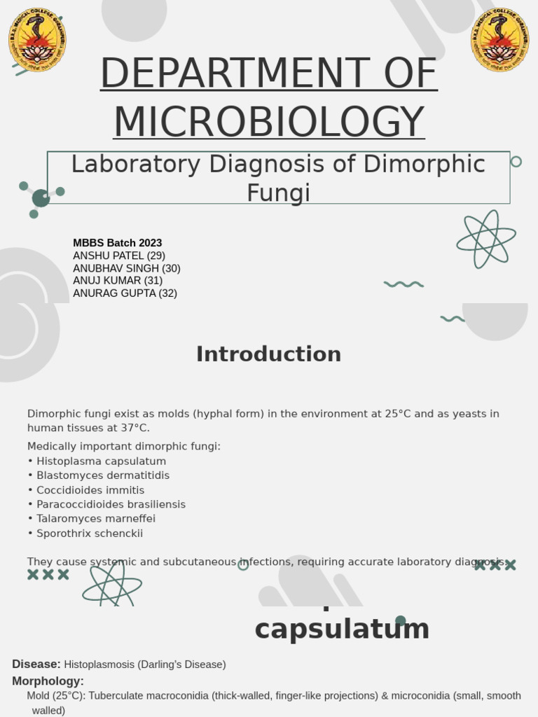 Dimorphic Fungi Full Detailed Presentation (Autosaved) | PDF | Mycology | Diseases And Disorders