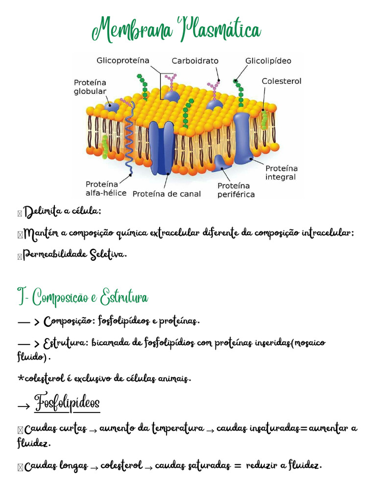 Composição da Membrana Plasmática | PDF