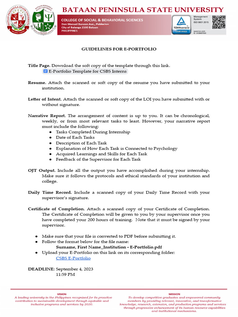Guidelines For E Portfolio 2 | PDF