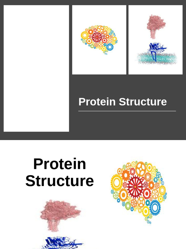 Protein Structure-Lecture 2-September-2020 | PDF | Protein Structure ...