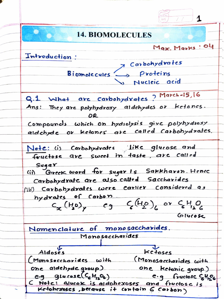 14 Biomolecules | PDF