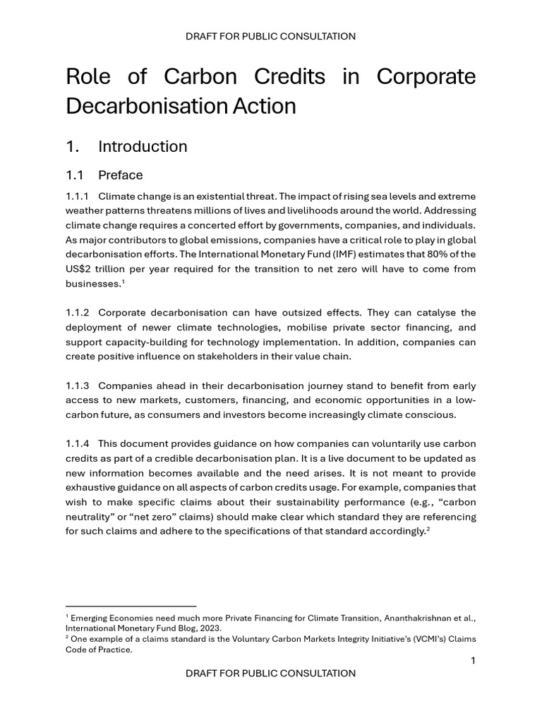 Corporate Decarbonisation and Carbon Credits | PDF | Climate Change ...