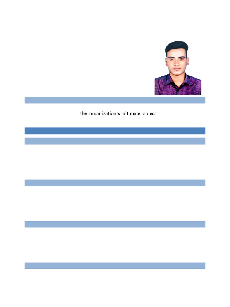 Ajijul Haque CV | PDF