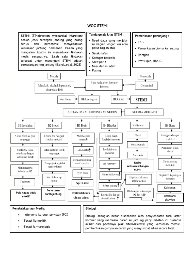 Woc Stemi | PDF