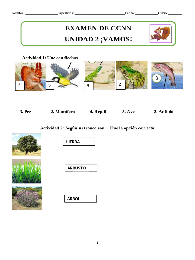adap. examen tema 2 CCNN sm | PDF