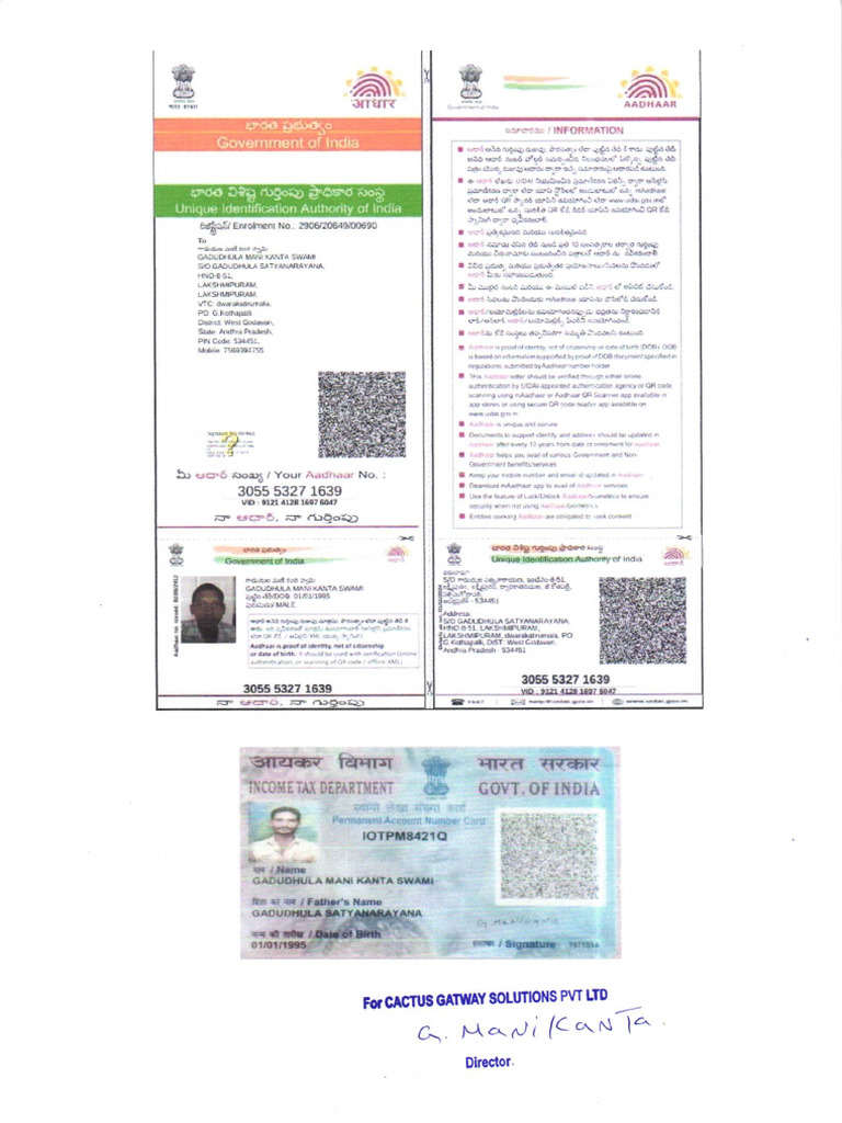 e-PAN Card Details and Verification | PDF