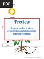 Grade 7 Drama Skills Development Plan | PDF | Body Language | Cognition