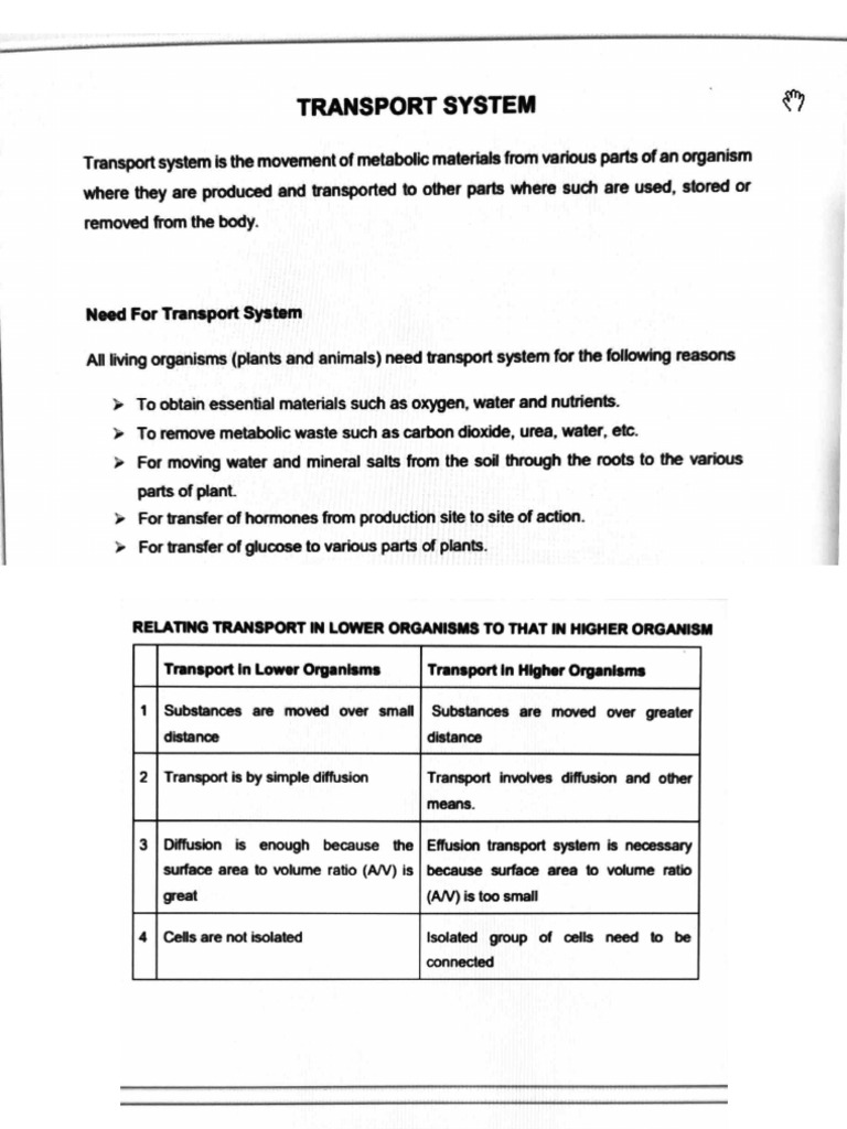 Transport and Circulatory System | PDF