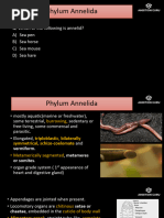 Phylum Priapulida | PDF