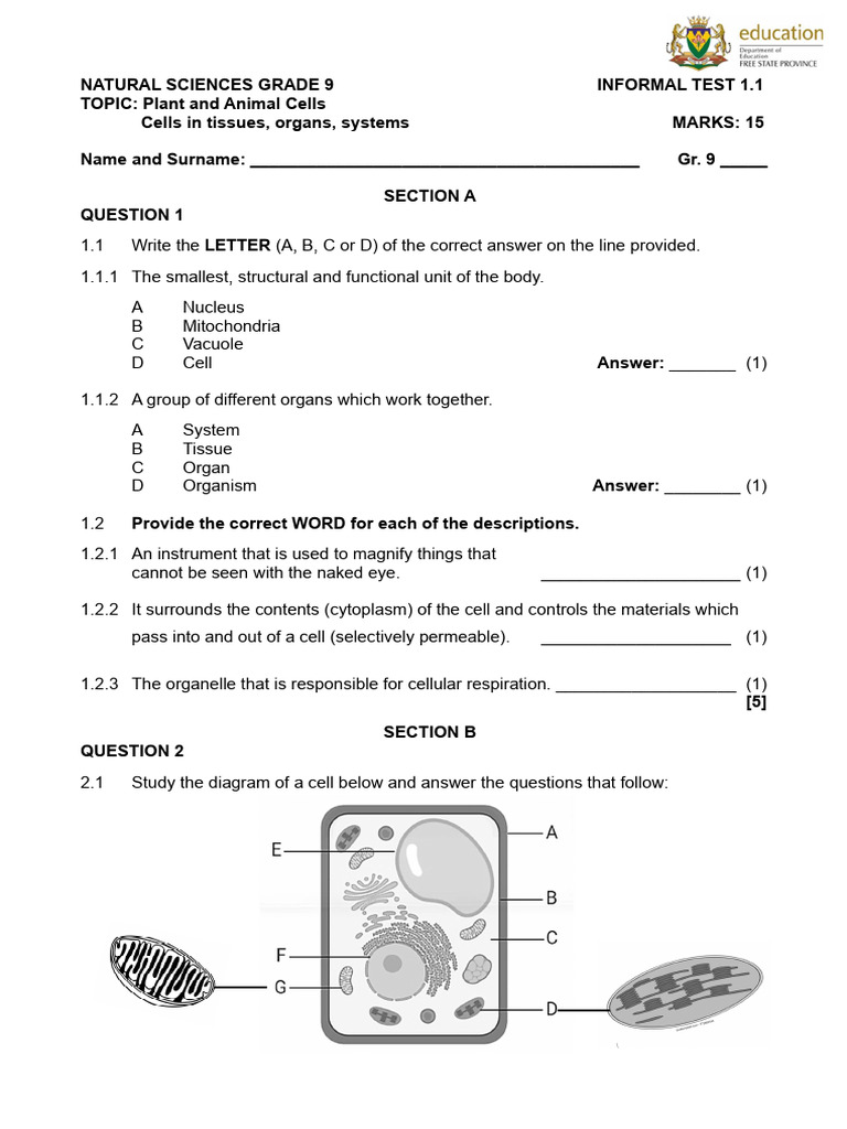Grade 9 Cell Structure Test | PDF | Cell (Biology) | Organelle