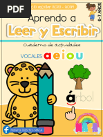 Lectoescritura Primaria MSTLRP | PDF | Escritura | Aprendizaje