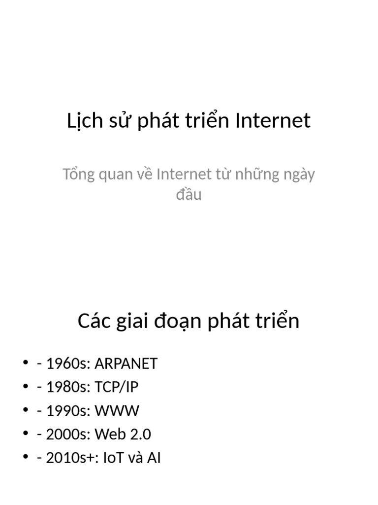 Lich Su Internet | PDF