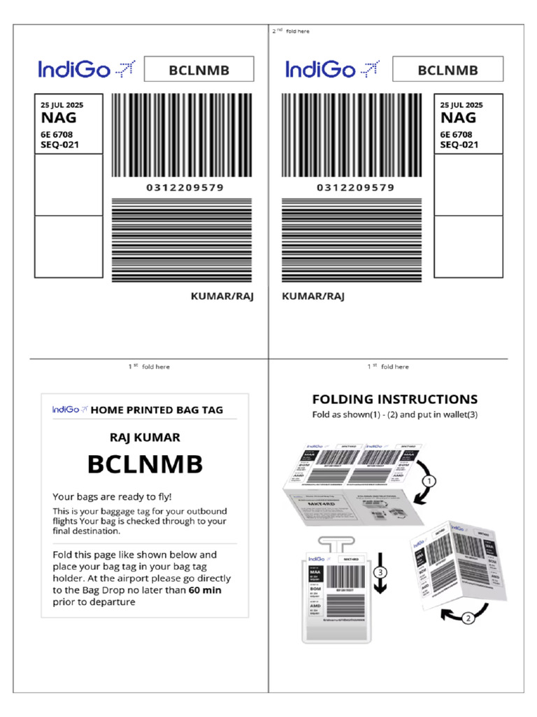 Baggage Tag | PDF