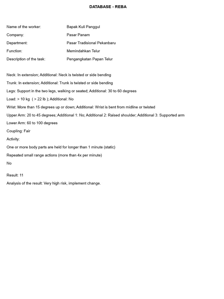 Ergofellow 2 | PDF