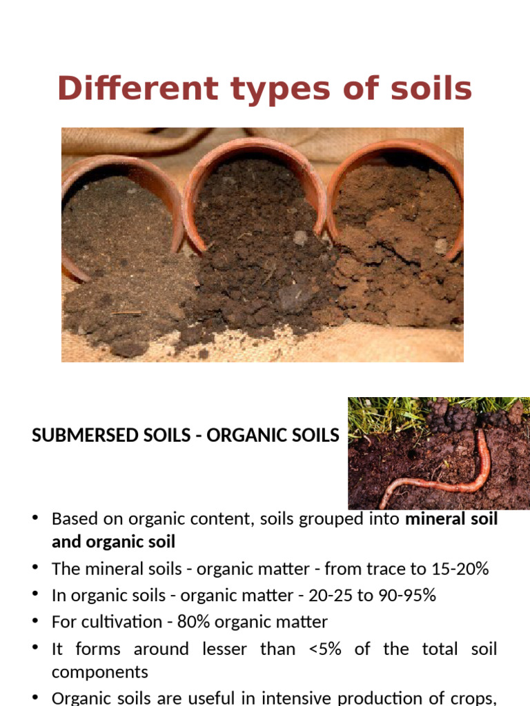 Types and Characteristics of Soils | PDF | Soil | Sulfate