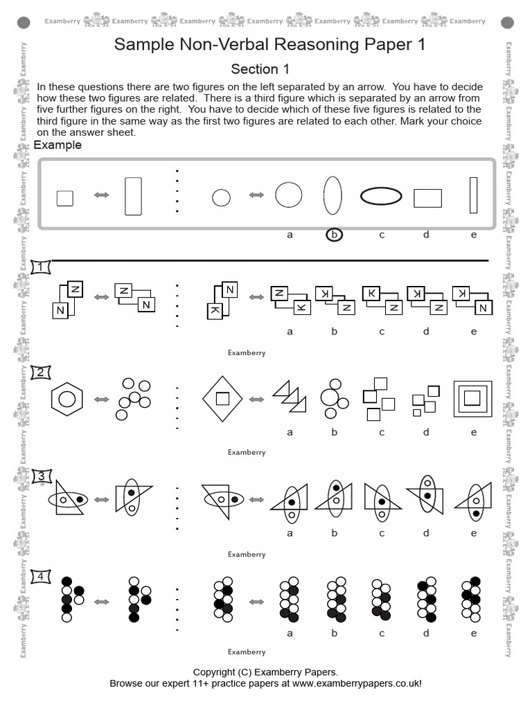 Examberry Non-Verbal 20 Questions | PDF