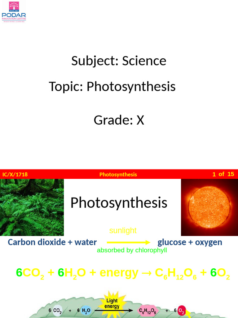 ICSE X Bio Photosynthesis 1 | PDF | Photosynthesis | Photochemistry