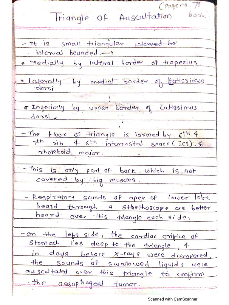 Triangle of Auscultation. AB | PDF