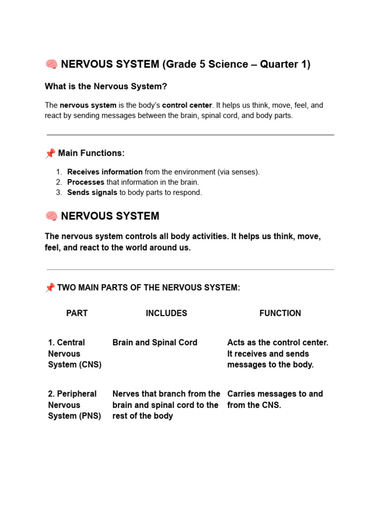 ? NERVOUS SYSTEM (Grade 5 Science - Quarter 1) | PDF | Central Nervous ...