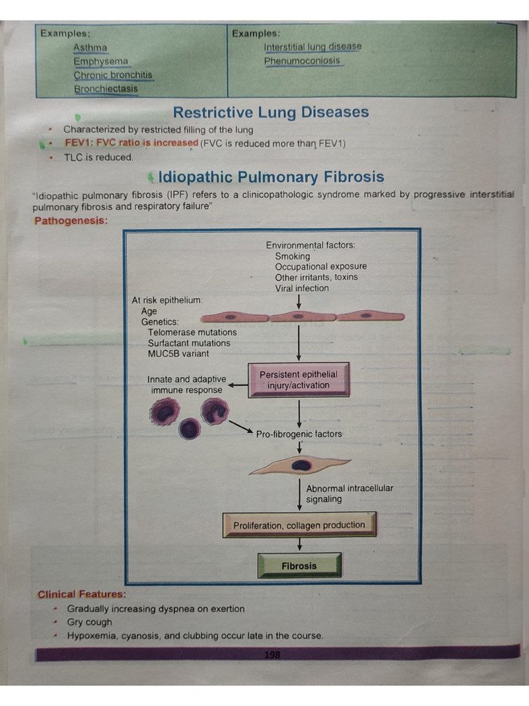 Respiratory System Pathology | PDF