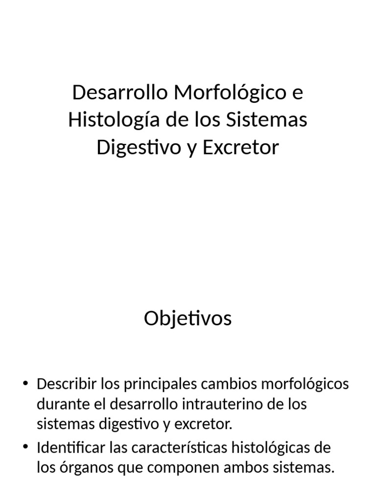 Morfologia Histologia Sistemas Digestivo Excretor | PDF