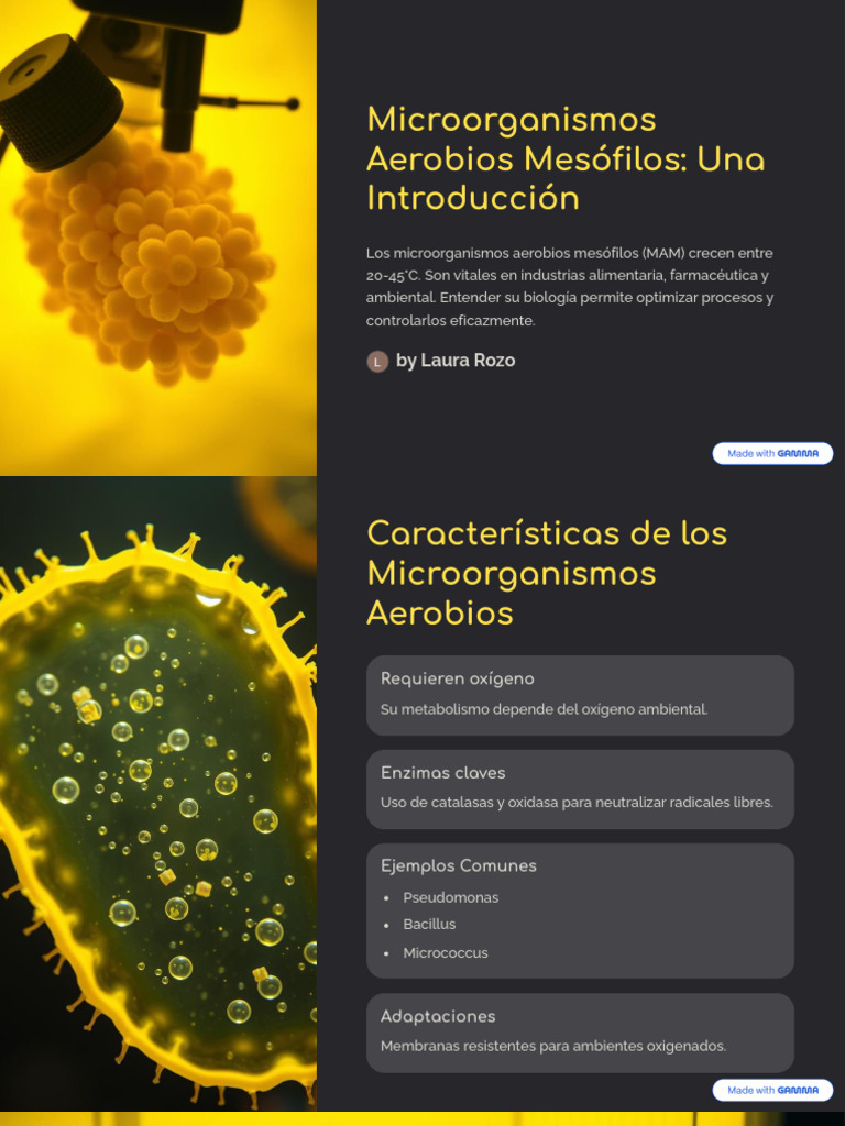 Microorganismos Aerobios Mesofilos Una Introduccion | PDF