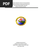 Data Distrik dan Kelurahan Mimika 2025 | PDF