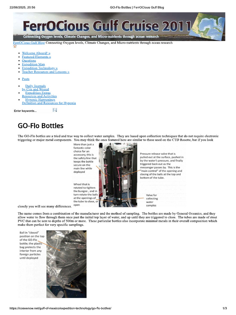 FerrOcious - 2011 | PDF