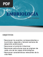 P1-Origen Embriológico Del Sistema Tegumentario y Anexos | PDF ...