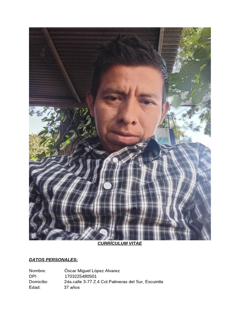 Currículum Vitae Miguel | PDF