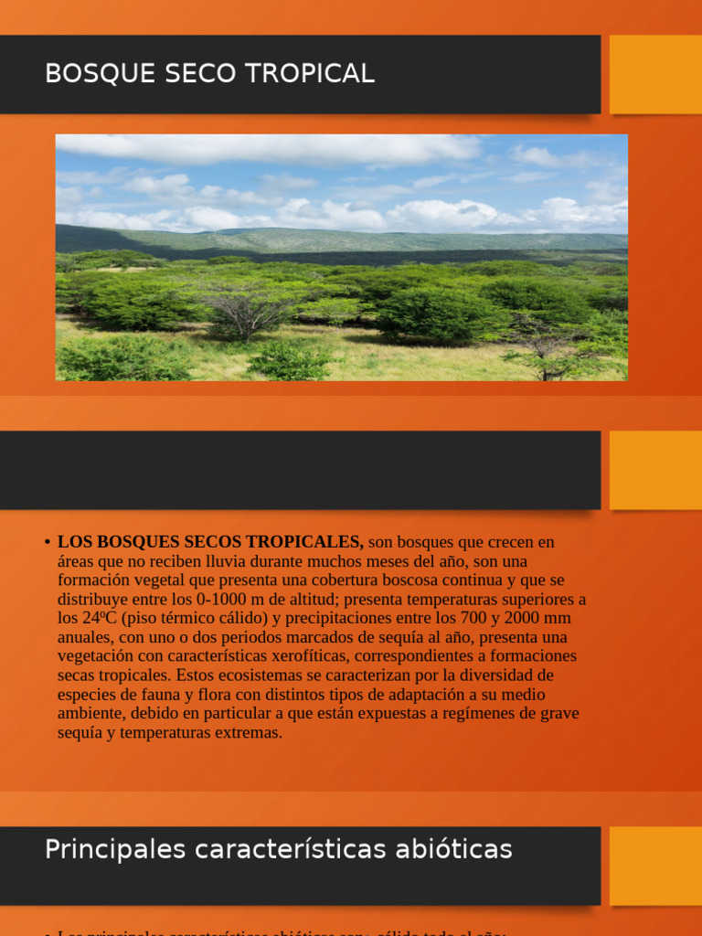 Bosque Seco Tropical | PDF | Los bosques | Zona tropical