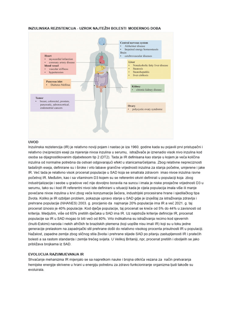 Inzulinska Rezistencija - Uzrok Najtežih Bolesti Modernog Doba | PDF