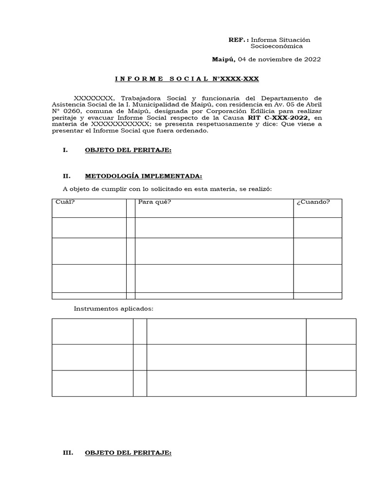 Informe Tipo 2 | PDF