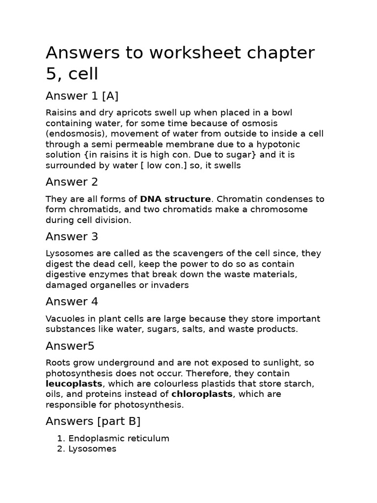 Answers To Worksheet Chapter 5 | PDF