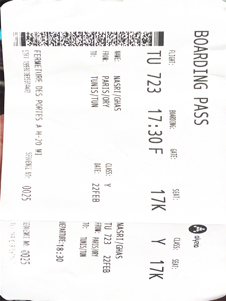 Boarding Pass 1 | PDF
