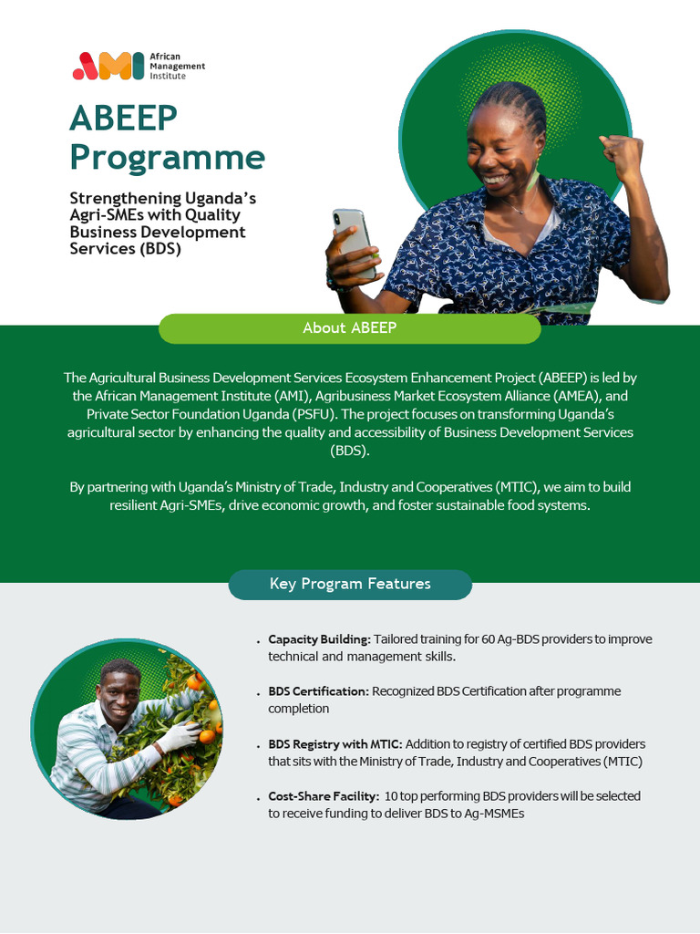ABEEP Programme Flyer 2025 | PDF | Economies