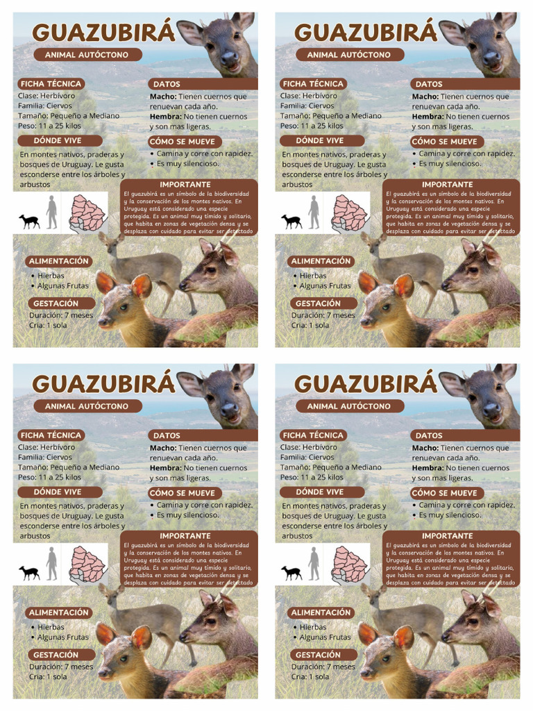 Guazubira 4 Por Hoja 5 Hojas Separado | PDF